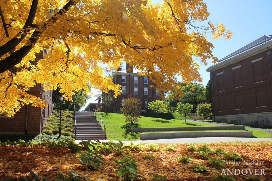 How to Make the Best Out of All Your Tours – PrepMaster